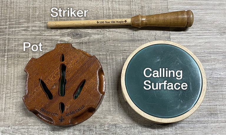 Best Turkey Calls for Beginners